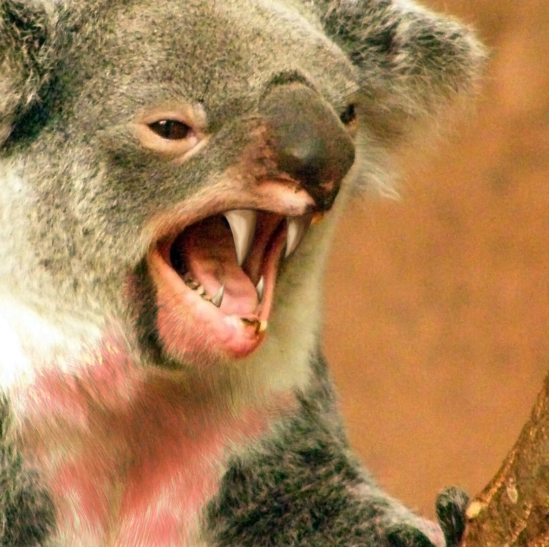 What is a Dropbear? What is a Dropbear?